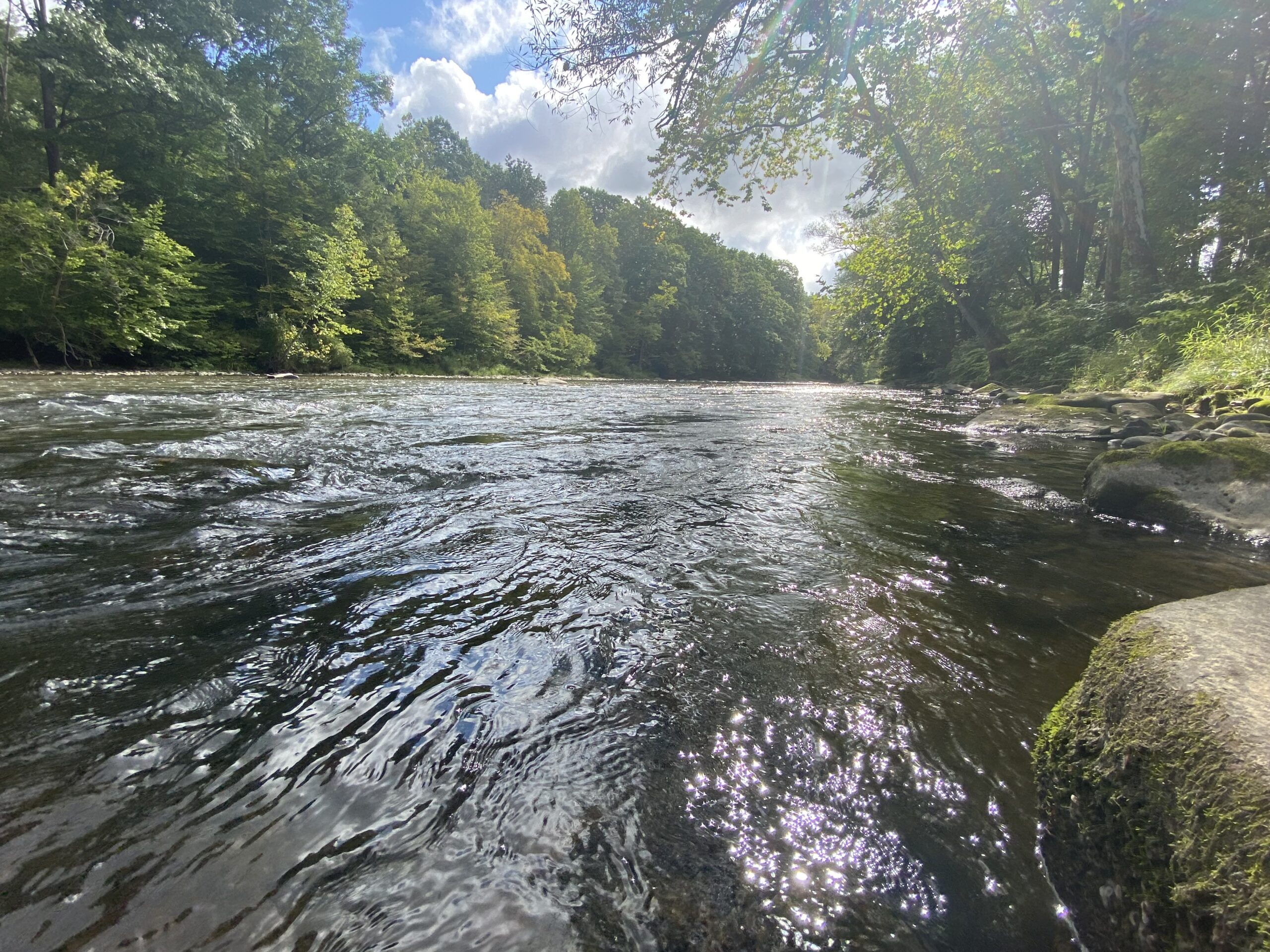 Recreation funds to improve Brokenstraw Creek | News, Sports, Jobs ...